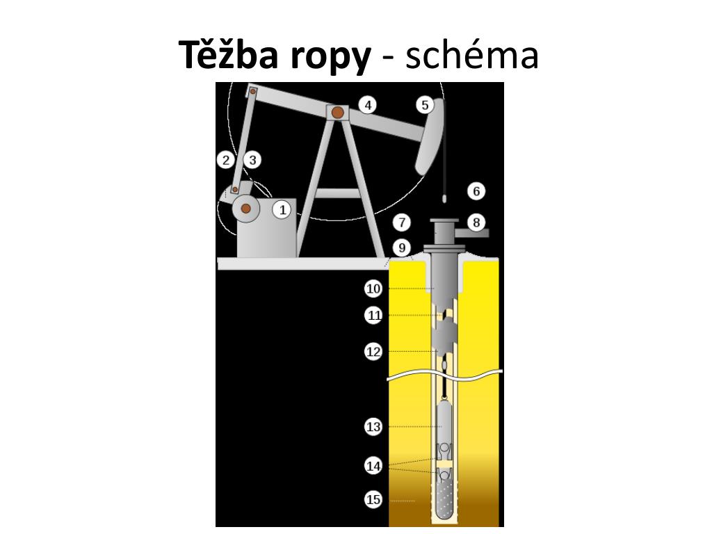PPT - Vznik ropy a zemního plynu PowerPoint Presentation, free download ...
