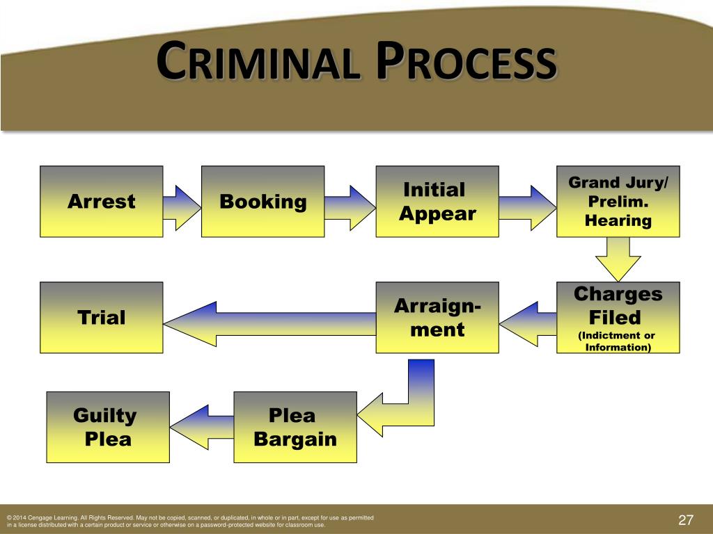 PPT - Chapter 6 Criminal Law and Cyber Crime PowerPoint Presentation ...