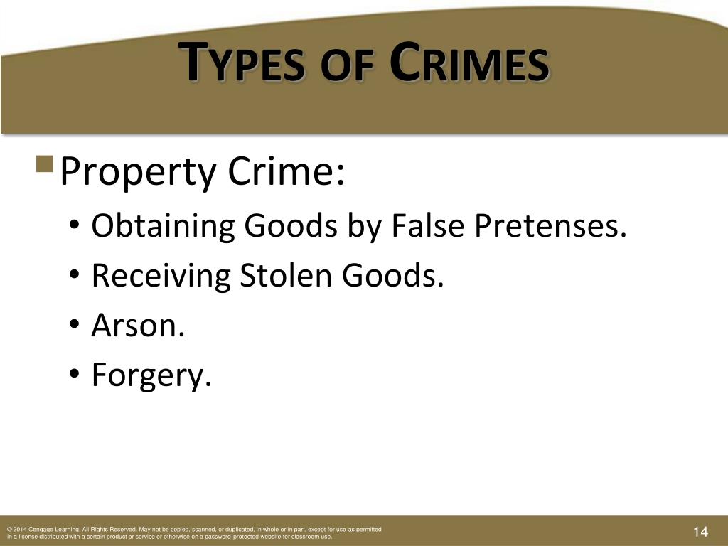 PPT - Chapter 6 Criminal Law and Cyber Crime PowerPoint Presentation ...