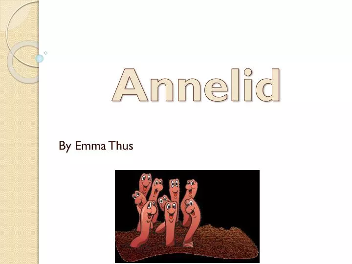 PPT - Annelid PowerPoint Presentation, free download - ID:2439707