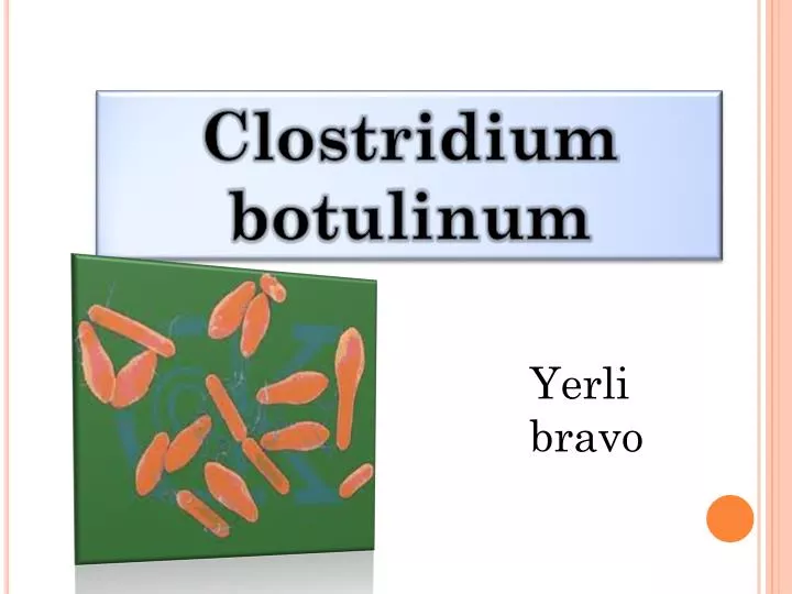 PPT - Clostridium botulinum PowerPoint Presentation, free download - ID:2439870