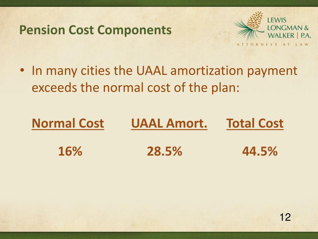 PPT - Pension Reform Primer Florida Government Finance Officers ...