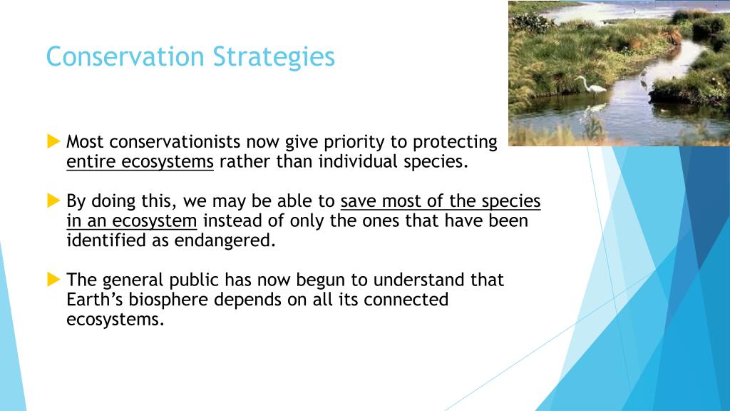 PPT - Chap. 10: Biodiversity Sect . 2: Biodiversity at Risk Key ...