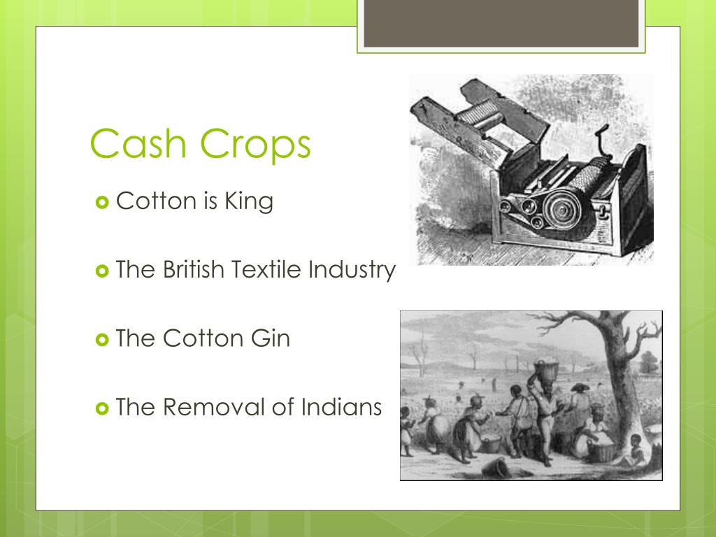 PPT - The Old South and Slavery, 1830-1860 PowerPoint Presentation ...