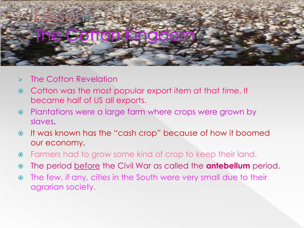 PPT - The North, The South & The Slaves By: Sachi & Brenae 1790-1860 ...