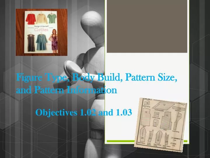 PPT - Figure Type, Body Build , Pattern Size, and Pattern Information ...