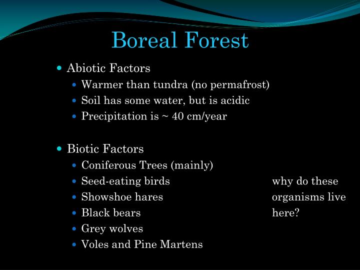PPT - Terrestrial and Aquatic Ecosystems PowerPoint Presentation - ID ...