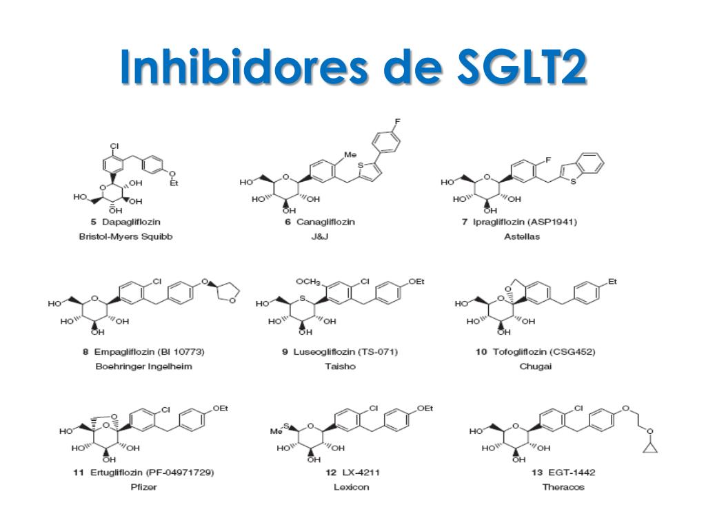 PPT - Inhibidores de SLGT-2 (Glucosúricos) en el tratamiento de la ...