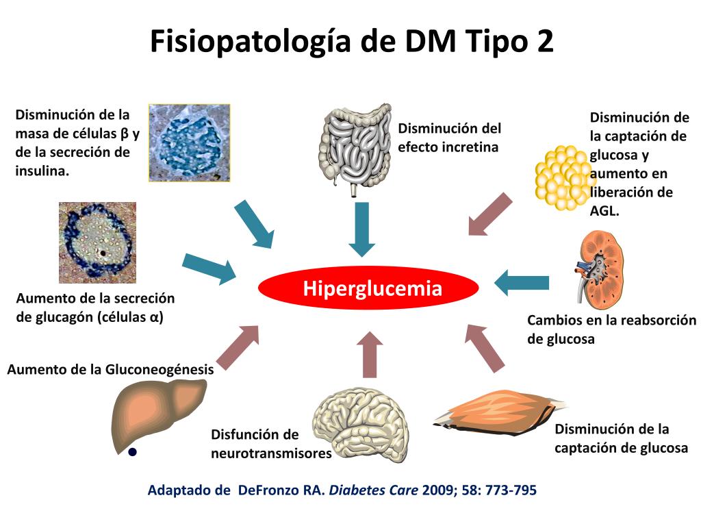 PPT - Inhibidores de SLGT-2 (Glucosúricos) en el tratamiento de la ...