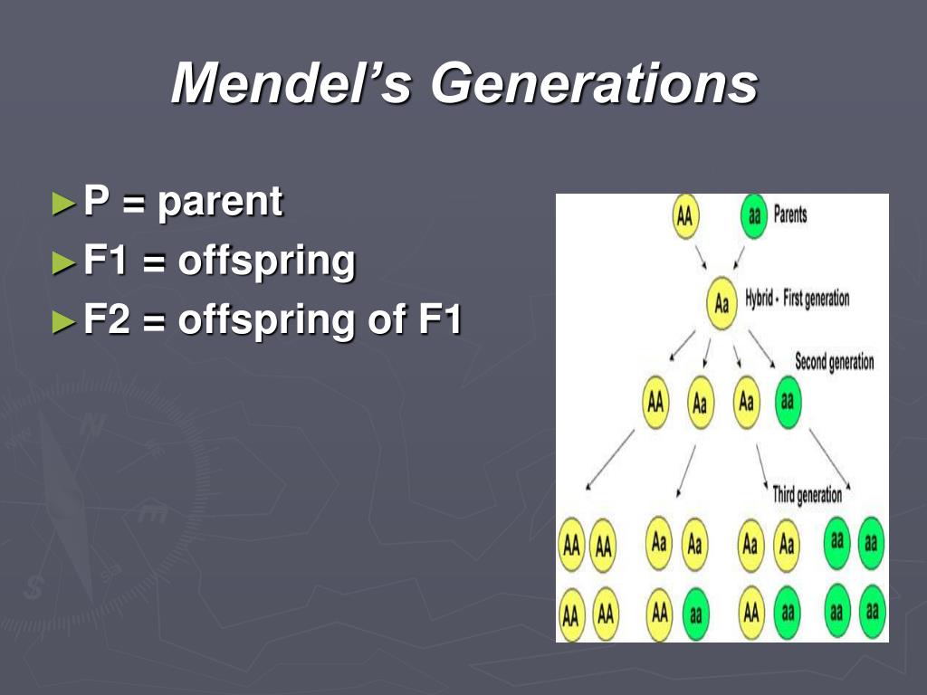 PPT - media-cache-ec0.pinimg/originals/34/28/d4 ...