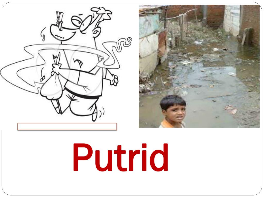 PPT - Vocabulary Silver Week 16 Wordwall PowerPoint Presentation, free ...