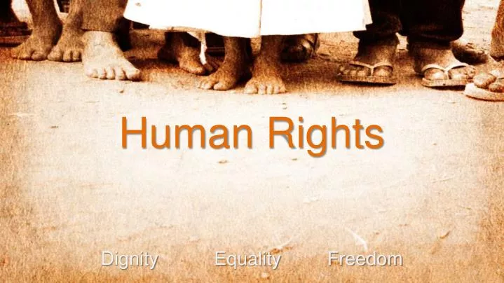 PPT - Human Rights PowerPoint Presentation, free download - ID:2444344