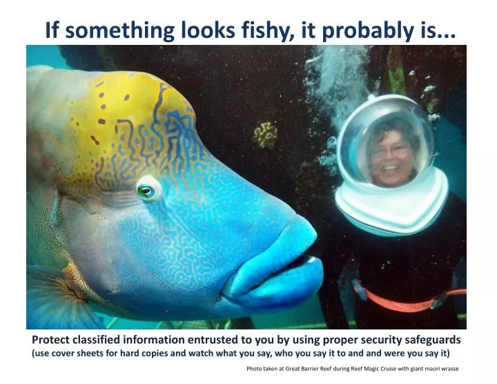 PPT - If something looks fishy, it probably is... PowerPoint ...
