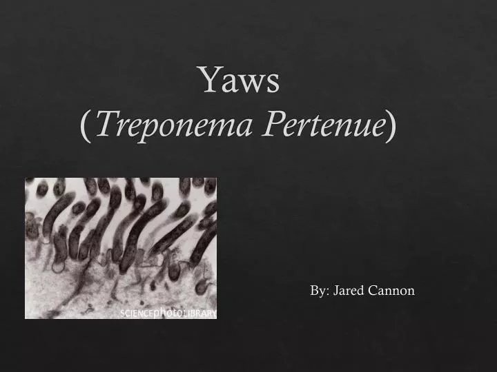 PPT - Yaws ( Treponema Pertenue ) PowerPoint Presentation, free ...
