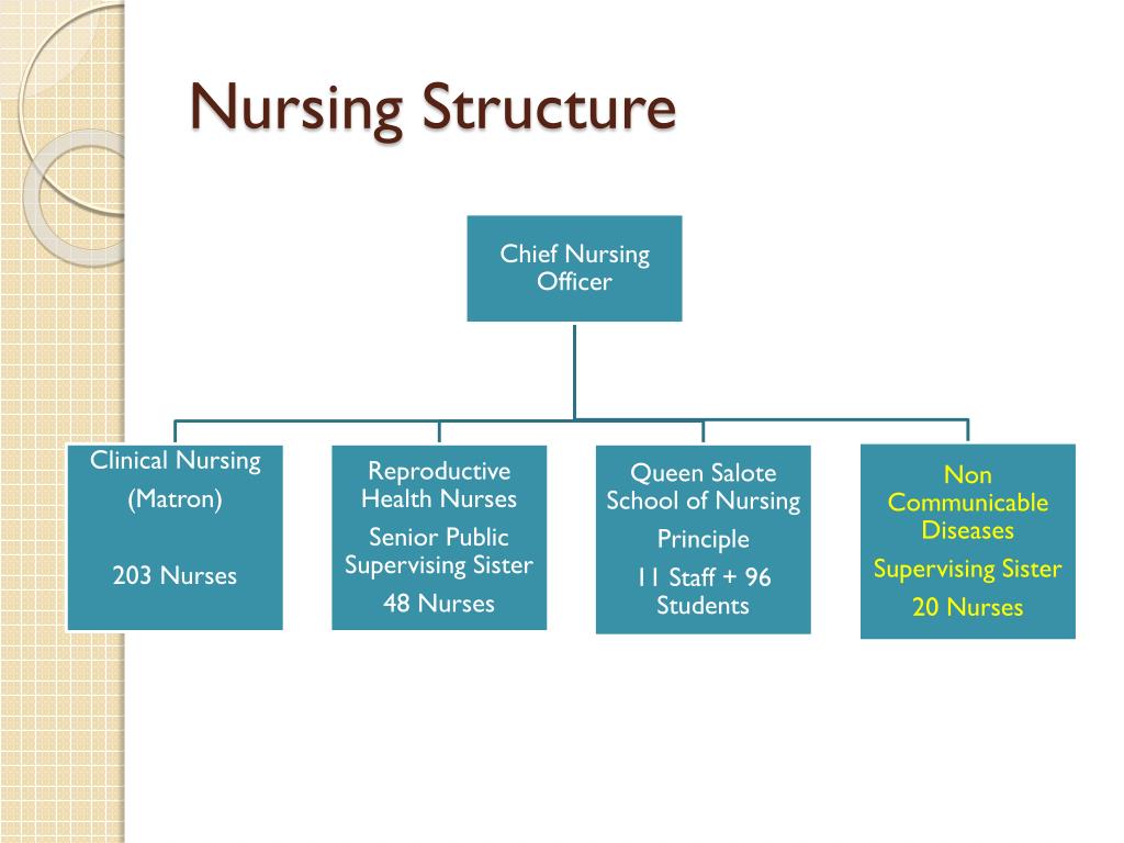 PPT - 16 th South Pacific Nurses Forum PowerPoint Presentation, free ...
