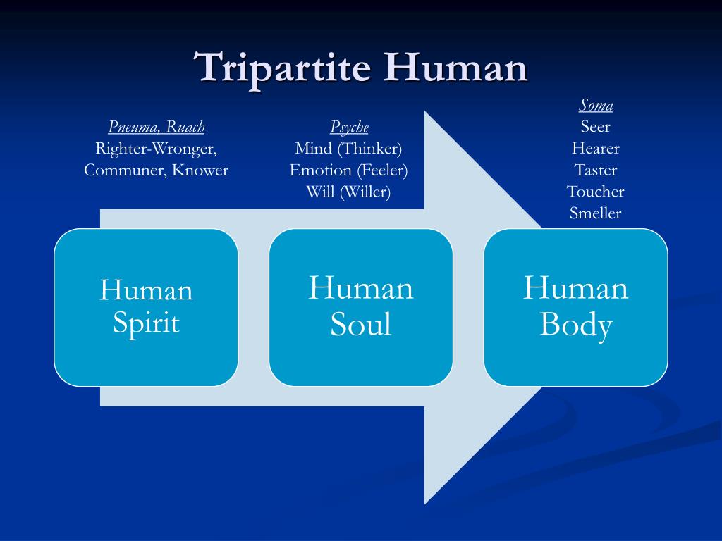 PPT - House of Hope Freedom Quest PowerPoint Presentation, free ...