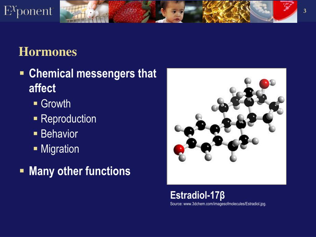 PPT - Endocrine Disrupting Chemicals Major Areas of Controversy ...