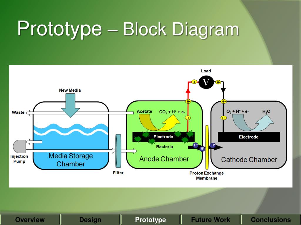PPT - Andrew Huizenga Lindsay Arnold Diane Esquivel Jeff Christians ...