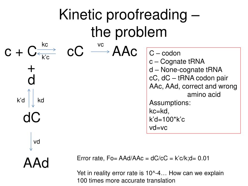 PPT - A genome-wide perspective on translation of proteins PowerPoint ...