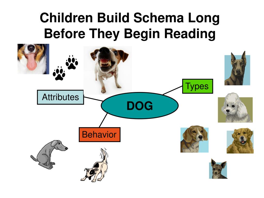 PPT - Word Wise and Concept-Rich: Teaching Academic Vocabulary ...