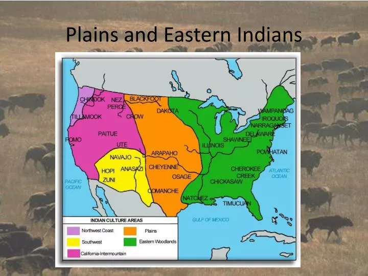 PPT - Plains and Eastern Indians PowerPoint Presentation, free download ...