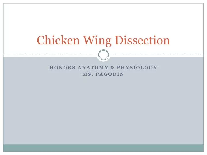 PPT - Chicken Wing Dissection PowerPoint Presentation, free download ...