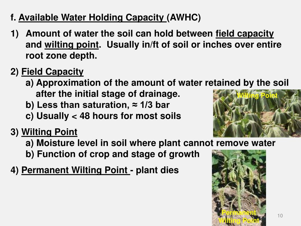 PPT - Soil-Water-Plant Relationships A. Background 1. Holdridge Life ...