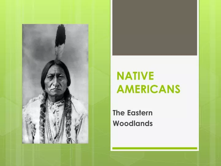 PPT - NATIVE AMERICANS PowerPoint Presentation, free download - ID:2450000