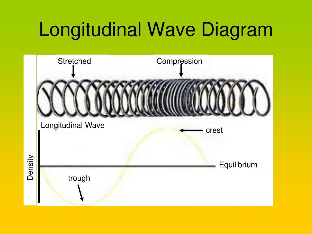 What Is Amplitude In Longitudinal Wave At Keith Turner Blog What Is Amplitude In Longitudinal Wave At Keith Turner Blog