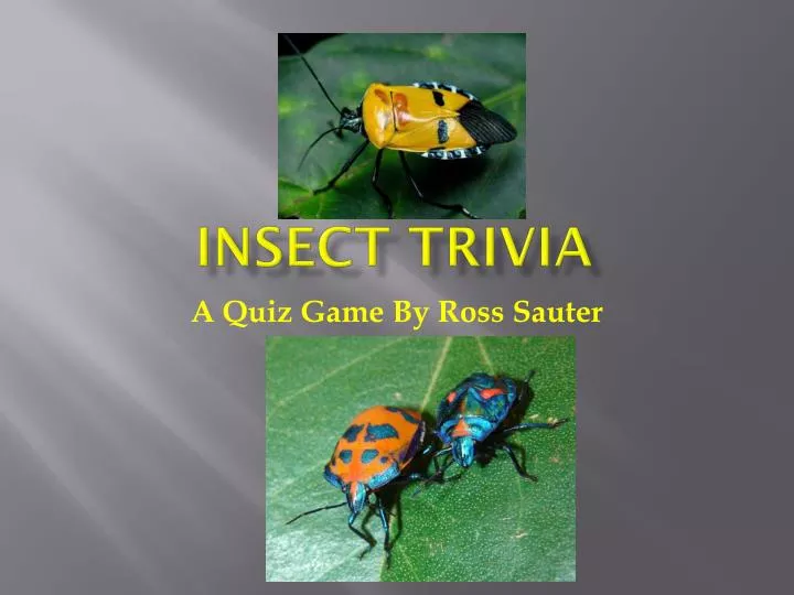 PPT - Insect Trivia PowerPoint Presentation, free download - ID:2451054