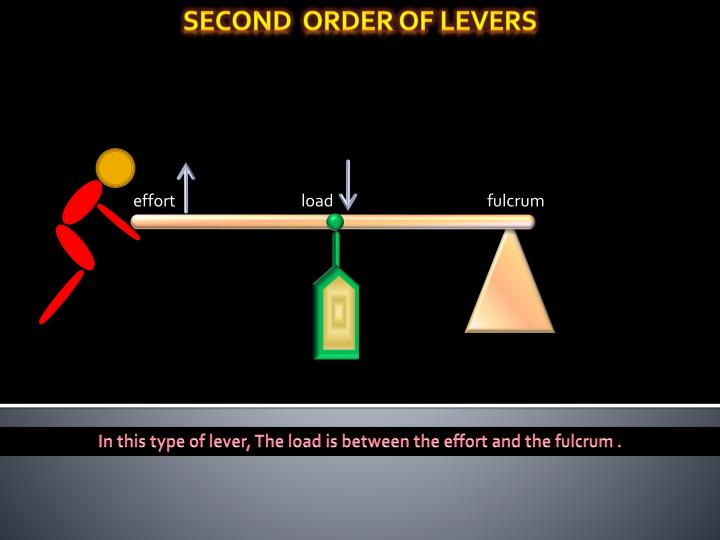 PPT - Three types of lever PowerPoint Presentation - ID:2451217