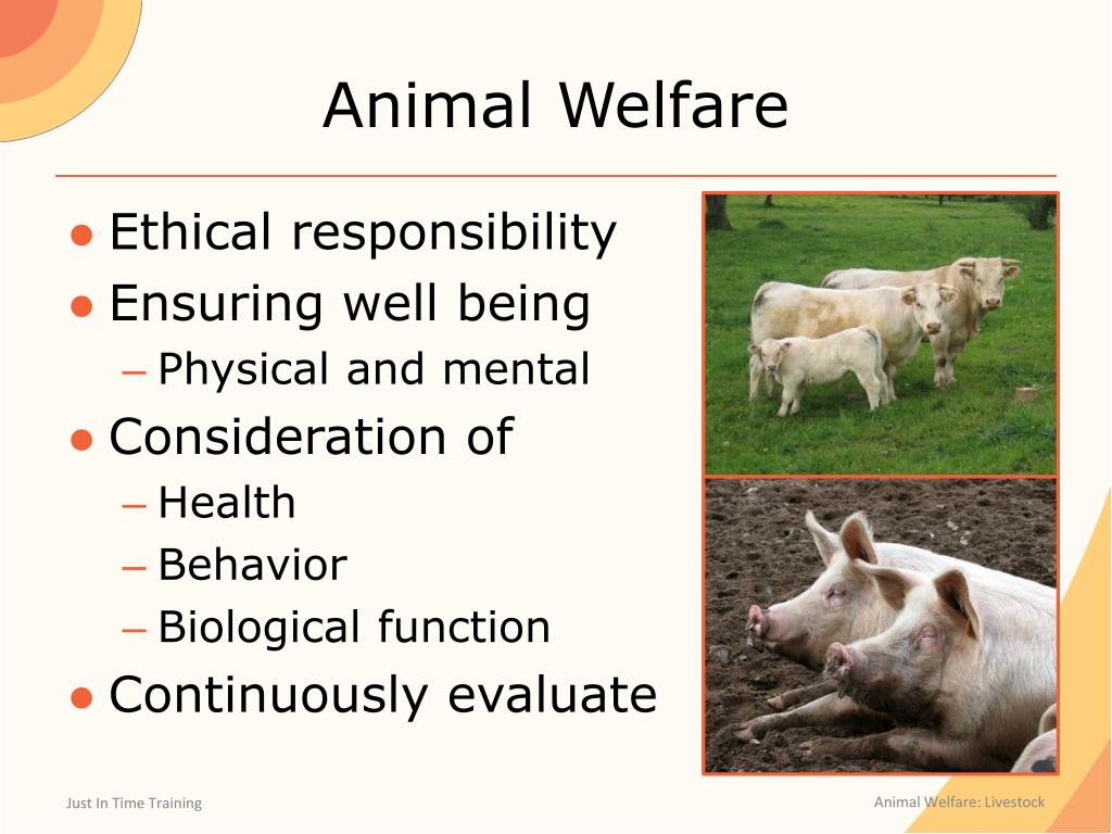 PPT - Animal Welfare During Animal Health Emergencies PowerPoint ...
