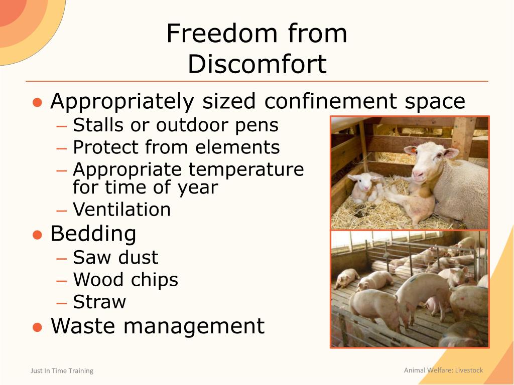 PPT - Animal Welfare During Animal Health Emergencies PowerPoint ...
