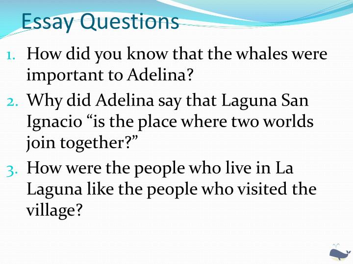 PPT - Adelina’s Whales PowerPoint Presentation - ID:2451968