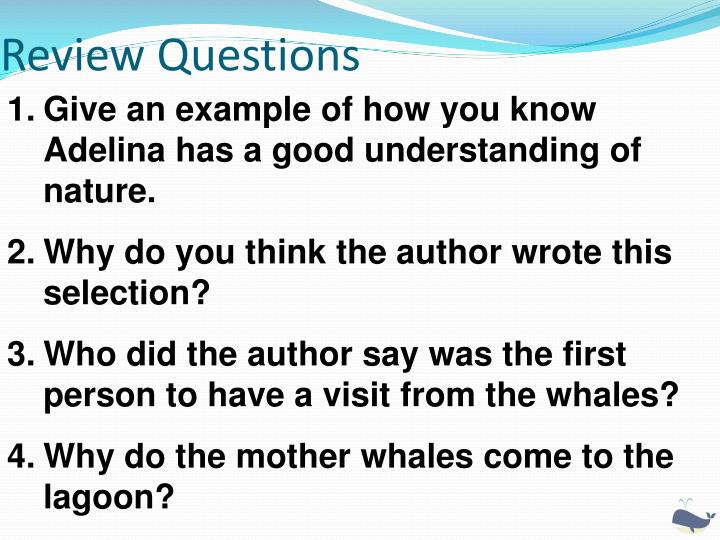 PPT - Adelina’s Whales PowerPoint Presentation - ID:2451968