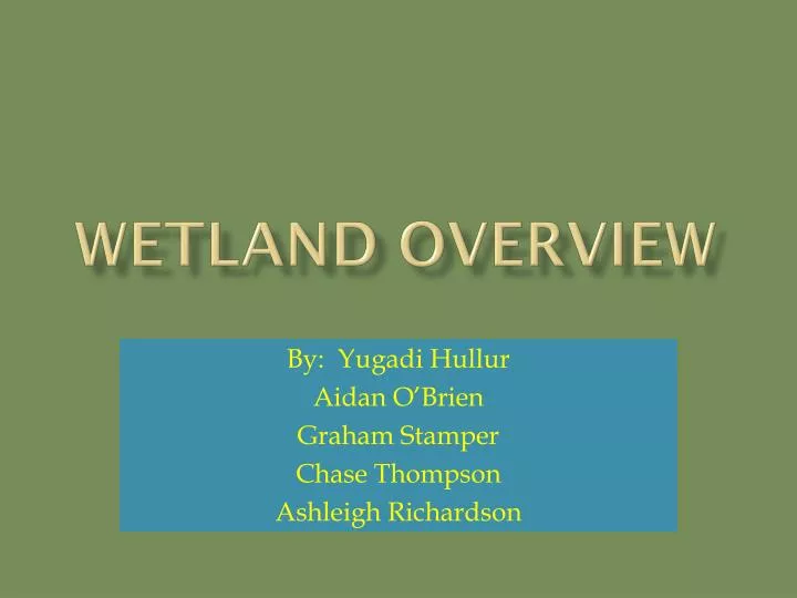 PPT - Wetland Overview PowerPoint Presentation, free download - ID:2451999