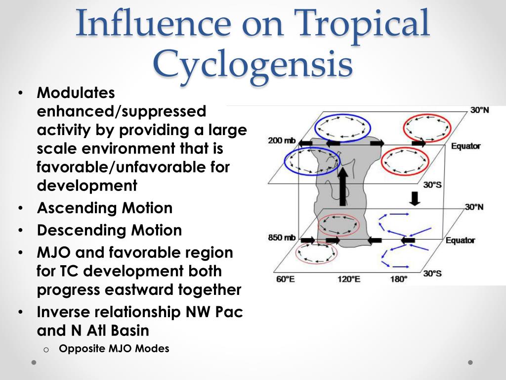 PPT - The Madden-Julian Oscillation and North Atlantic Hurricanes ...