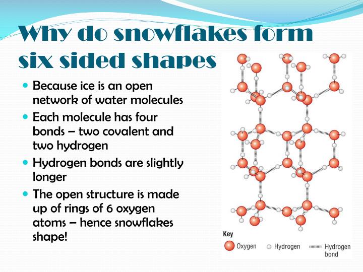 PPT - Hydrogen bonding PowerPoint Presentation - ID:2452680