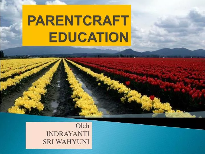 PPT - PARENTCRAFT EDUCATION PowerPoint Presentation, free download - ID ...