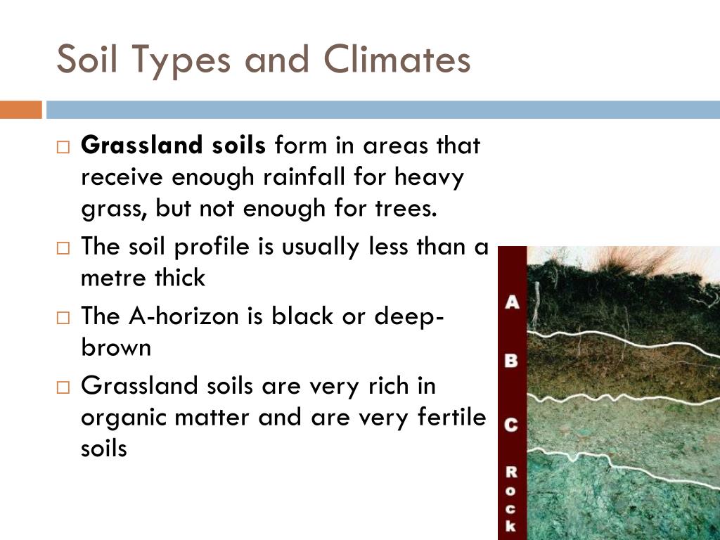 PPT - Soils, Mass movements, and soil conservation PowerPoint ... PPT - Soils, Mass movements, and soil conservation PowerPoint ...