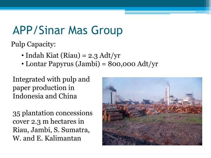 PPT - Indonesia’s Pulp & Paper Industry: Trends, Risks, Opportunities ...