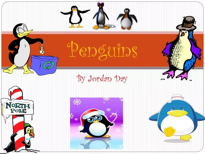 PPT - Penguins PowerPoint Presentation, free download - ID:2453688