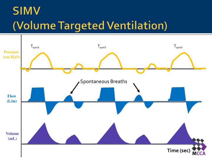 PPT - Synchronized Intermittent Mandatory Ventilation: SIMV PowerPoint ...