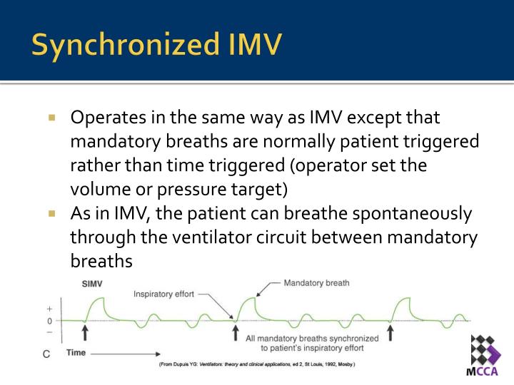 PPT - Synchronized Intermittent Mandatory Ventilation: SIMV PowerPoint ...