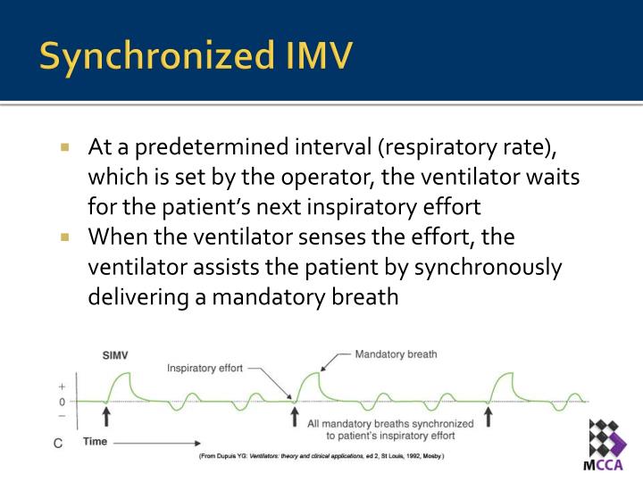 PPT - Synchronized Intermittent Mandatory Ventilation: SIMV PowerPoint ...
