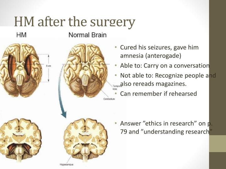PPT - How brain damage affects memory processing PowerPoint ...