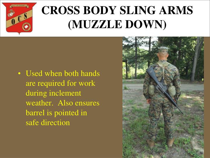 PPT - SAFE WEAPONS HANDLING PowerPoint Presentation - ID:2453927