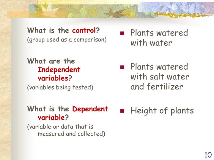 PPT - Scientific Method PowerPoint Presentation - ID:2455066