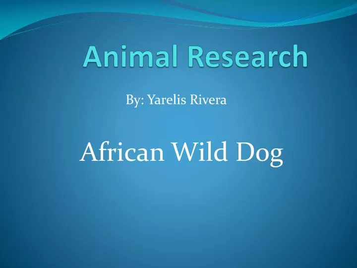 PPT - Animal Research PowerPoint Presentation, free download - ID:2457254