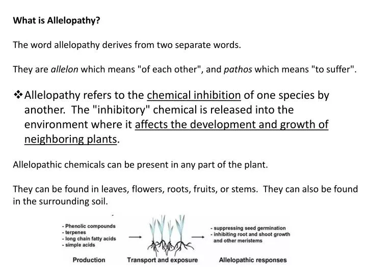 PPT - What is Allelopathy ? The word allelopathy derives from two separate words. PowerPoint ...